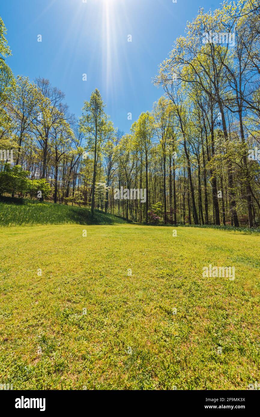 Green day woodstock hi-res stock photography and images - Alamy