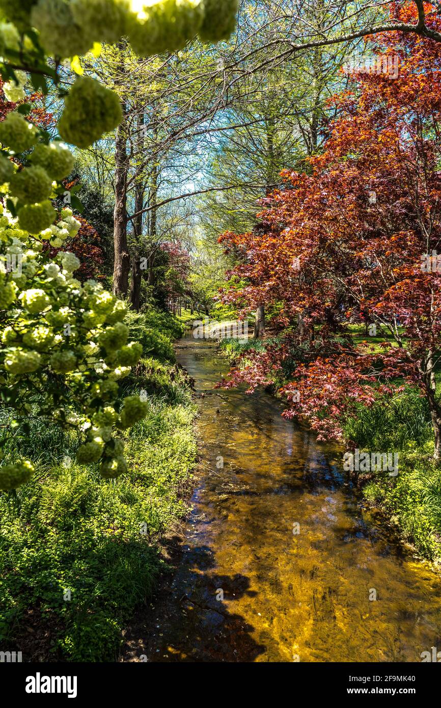 Deciduous forest in little hi-res stock photography and images - Alamy