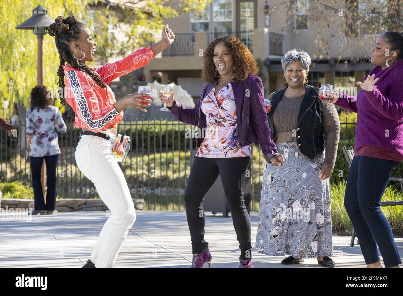 SHAMELESS, Shanola Hampton (left), Vanessa Bell Calloway (2nd from left), DNR', (Season 11, ep ...