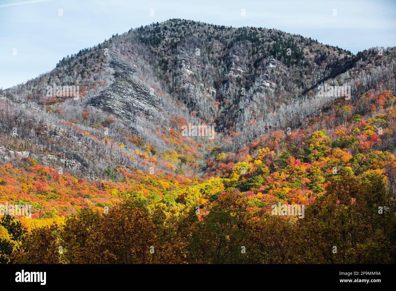 Fall Foliage at Great Smoky Mountain Stock Photo - Alamy