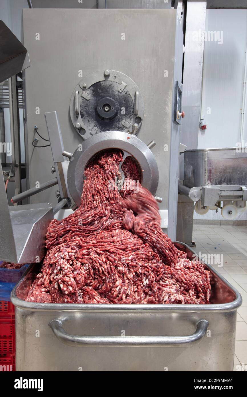 Mince meat machine store
