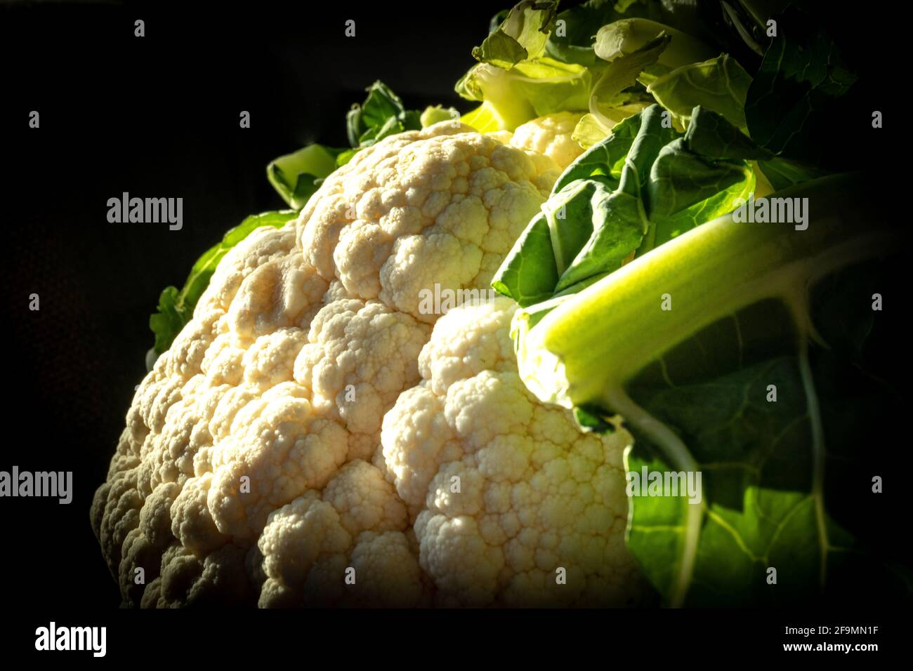 Angled close up of whole head of cauliflower with green leaves against ...