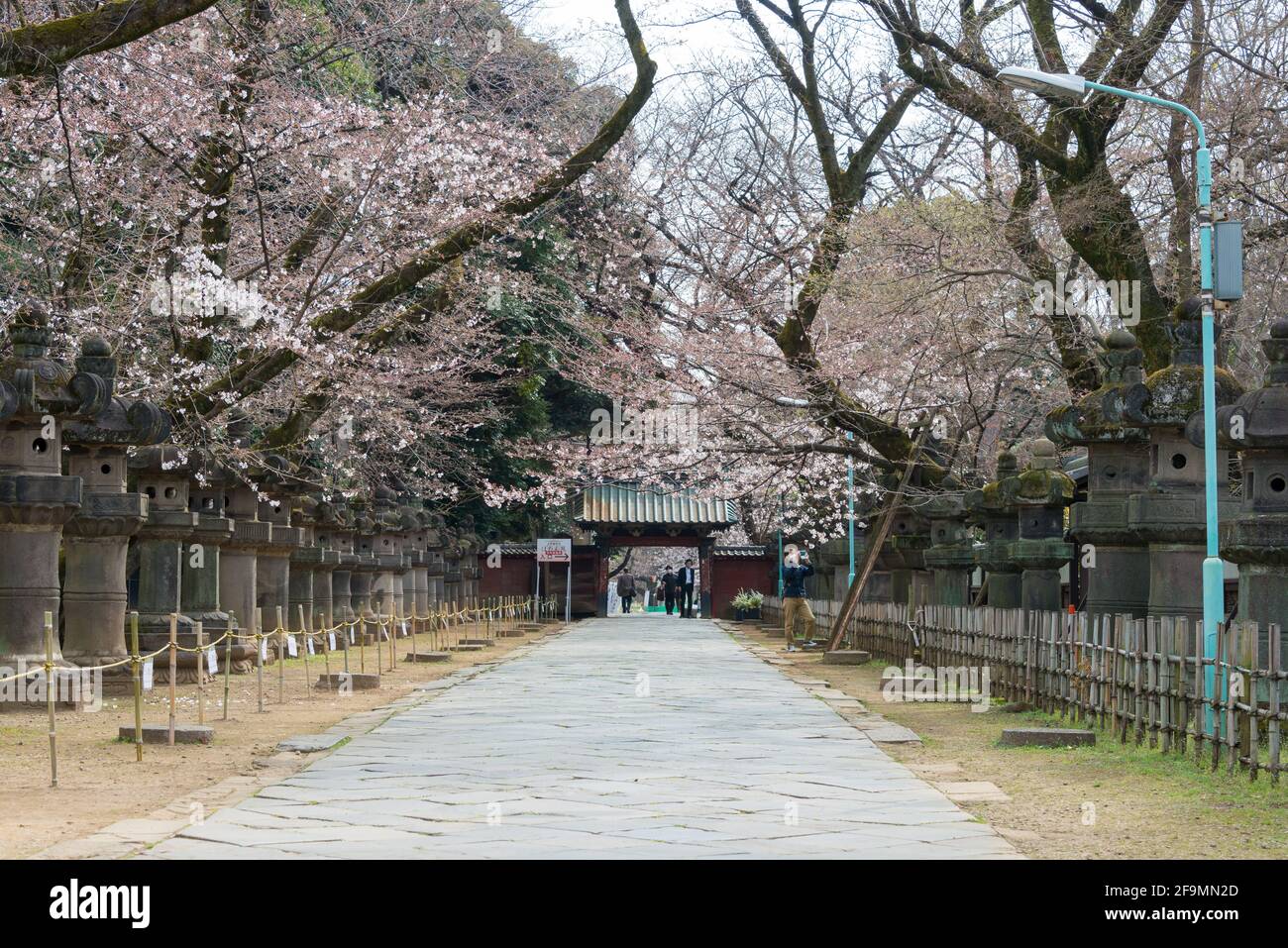 Approach at Ueno Toshogu Shrine in Ueno Park, Tokyo, Japan. A shrine ...