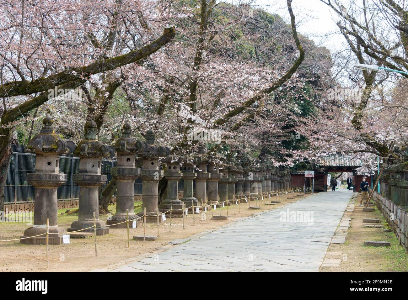 Approach at Ueno Toshogu Shrine in Ueno Park, Tokyo, Japan. A shrine ...