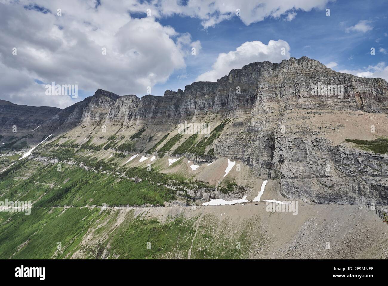 Pollock Pine High Resolution Stock Photography and Images - Alamy