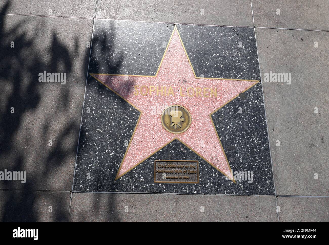 Loren barry hi-res stock photography and images - Alamy