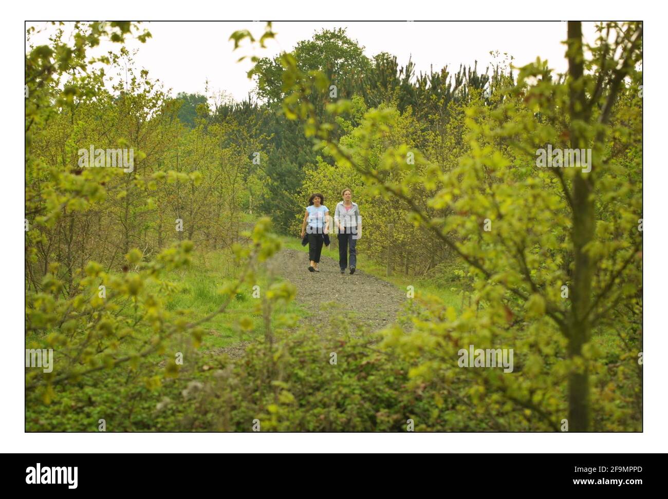 Chase farm Cut Out Stock Images & Pictures - Alamy