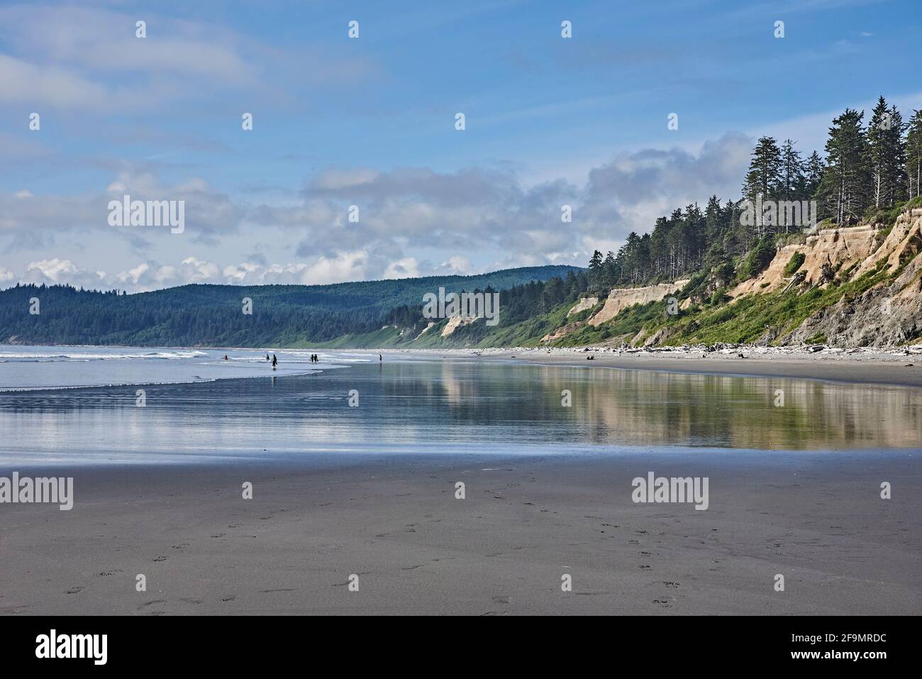 Ruby Beach in Olympic National Park Washington State Stock Photo - Alamy