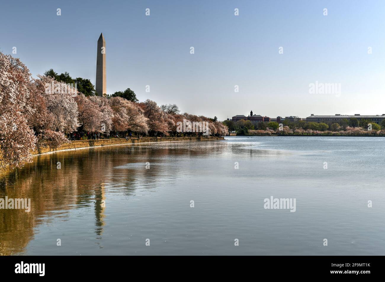 Washington Dc Skyline Spring High Resolution Stock Photography and ...