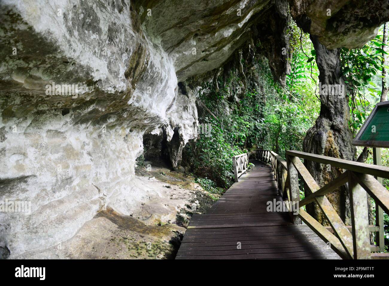 The massive and beautiful Niah cave in Sarawak, Malaysia Stock Photo ...