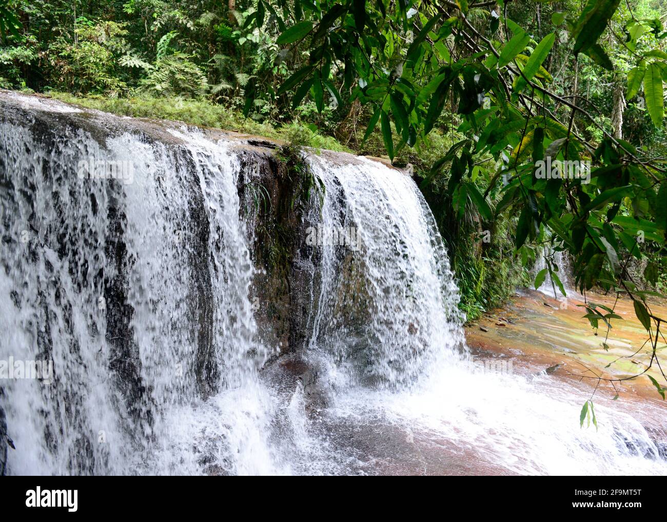 Lambir hills national park hi-res stock photography and images - Alamy