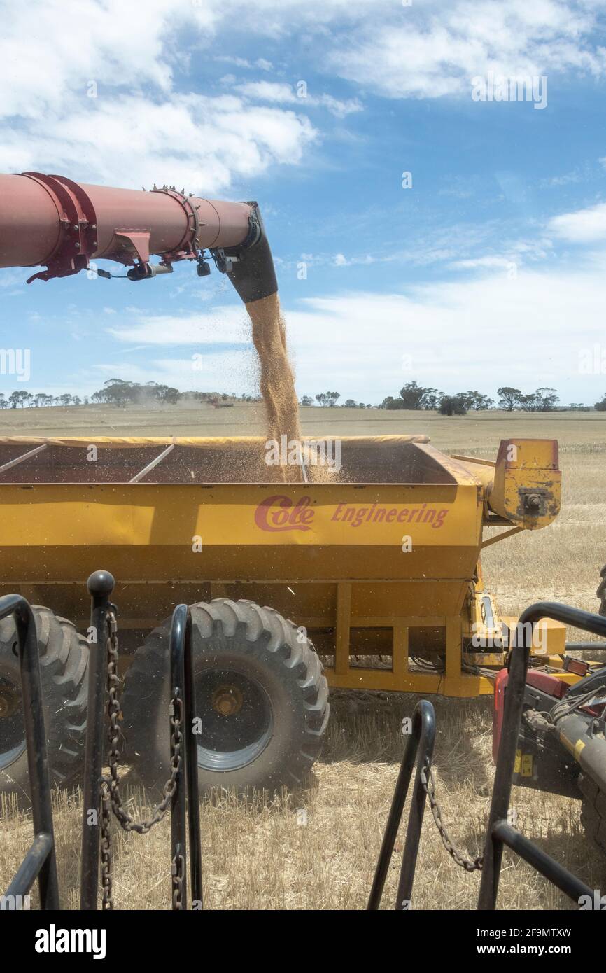 Chaser bin hi-res stock photography and images - Alamy