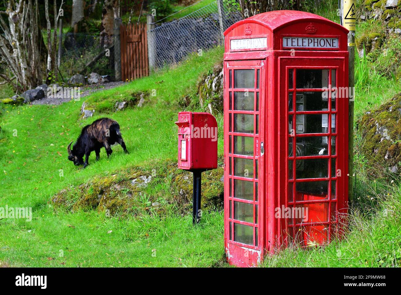 Shared solitude hi-res stock photography and images - Alamy