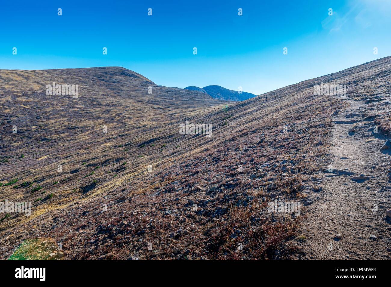 A well maintained hiking trail up to Mount Flora, a Colorado 13er, in ...