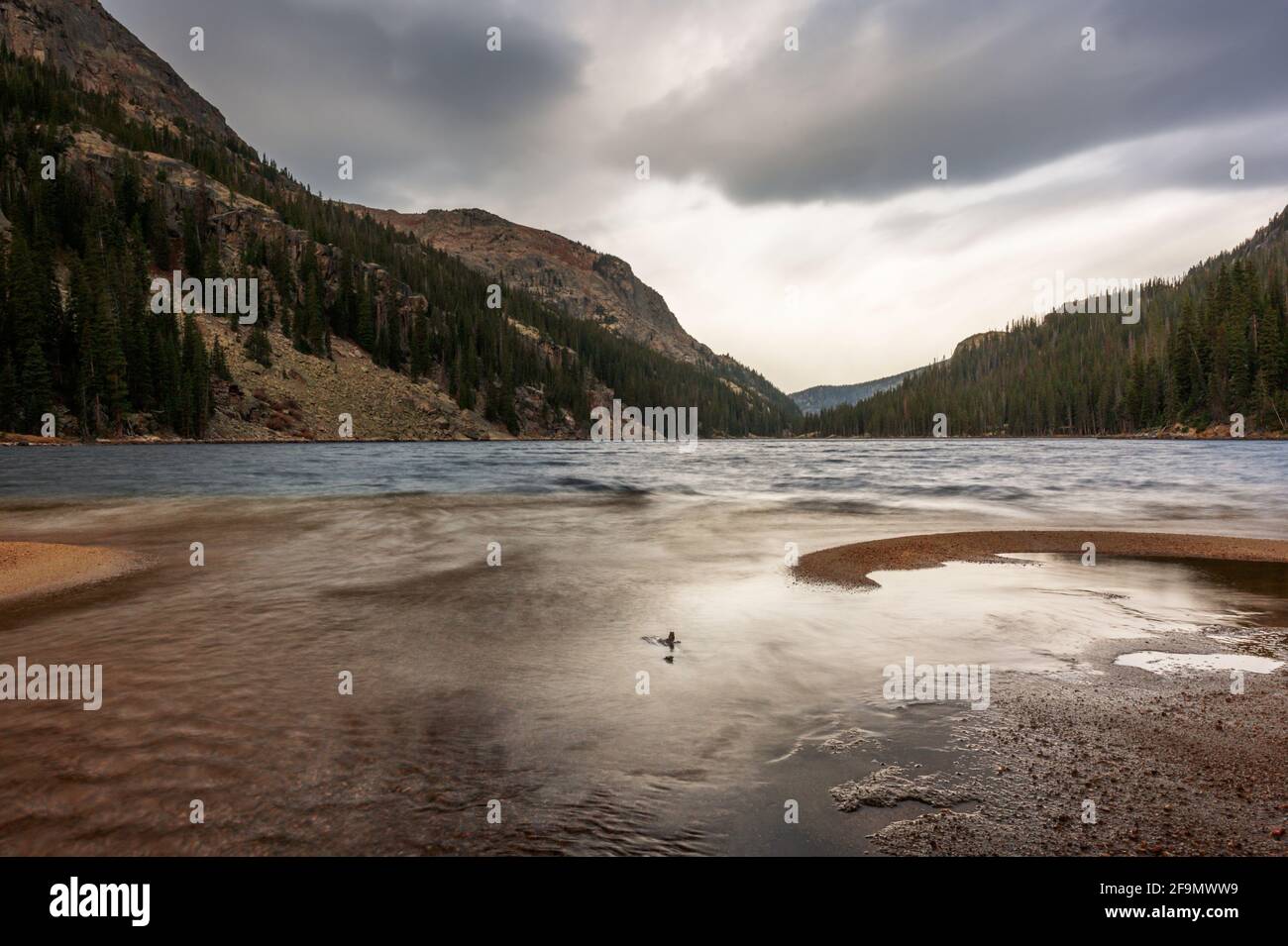Long exposure of smooth water hitting the beach shore of Lake Verna, a ...