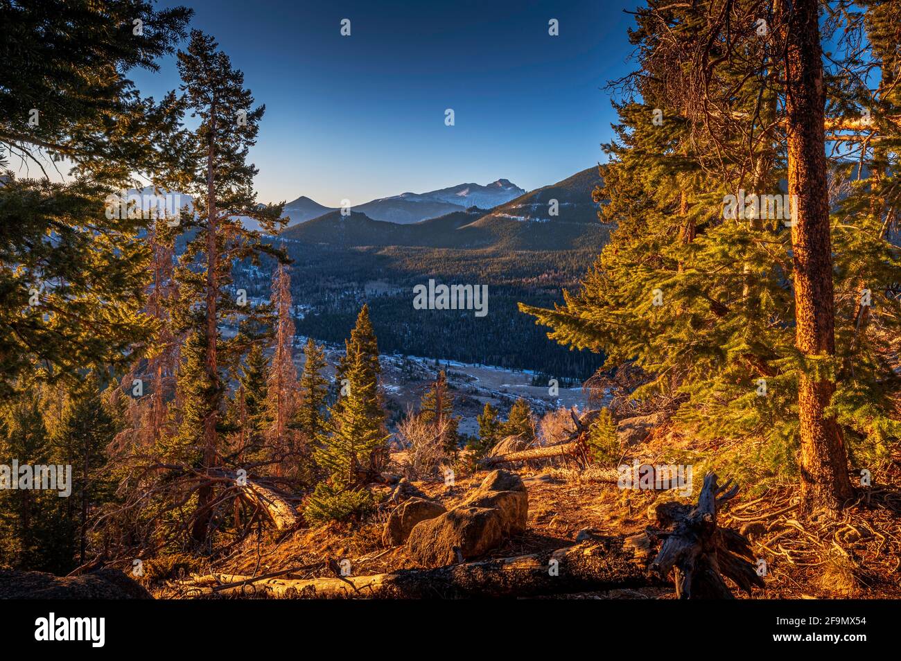 Mountain views from the beginning of Ypsilon Trail in Rocky Mountain ...