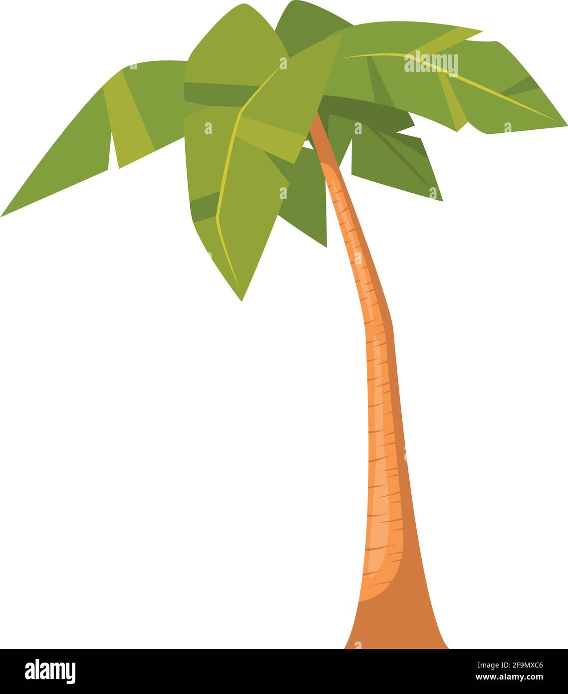 tree tropical palm summer icon Stock Vector Image & Art - Alamy