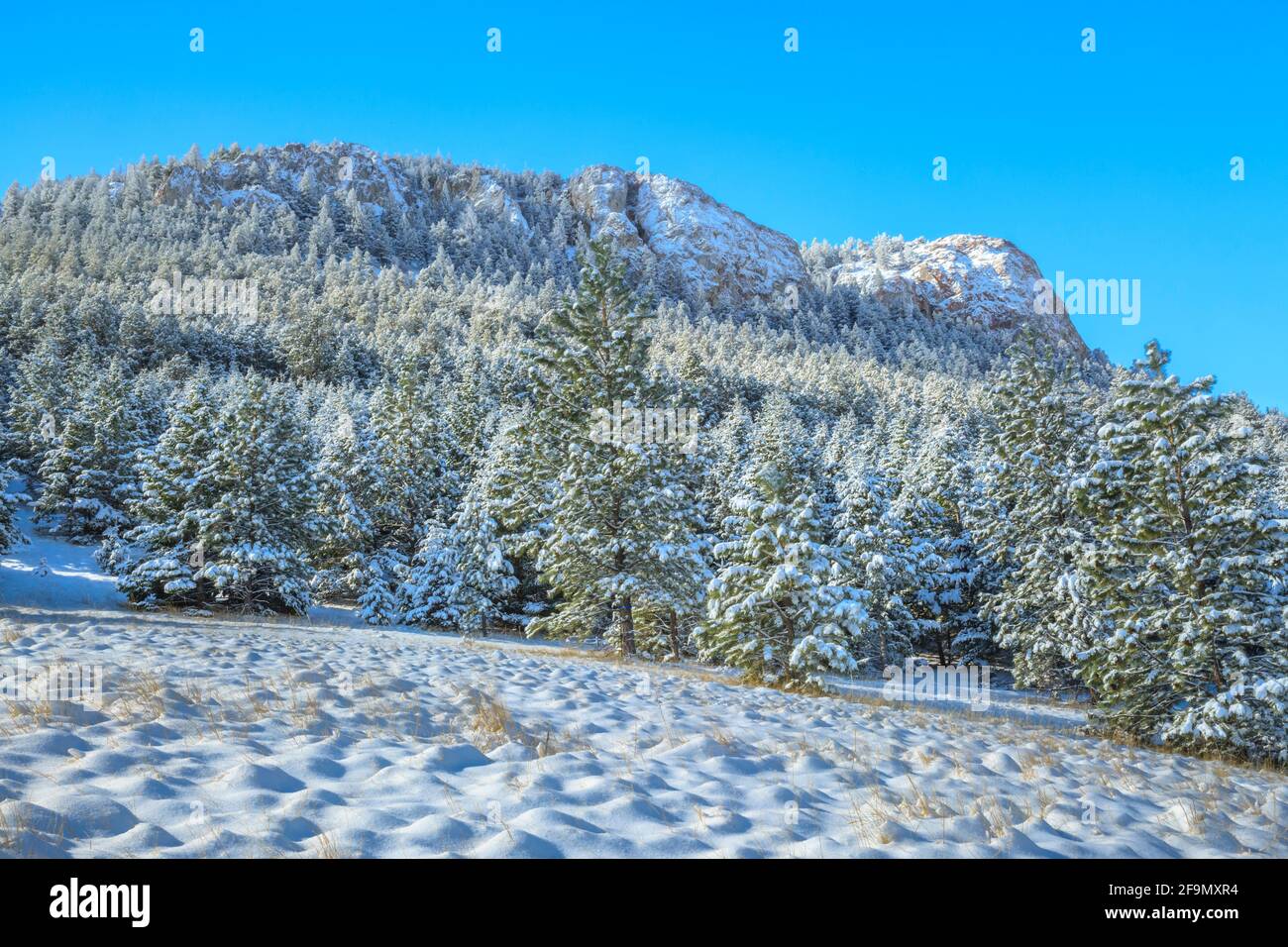winter snow on mount helena at helena, montana Stock Photo - Alamy