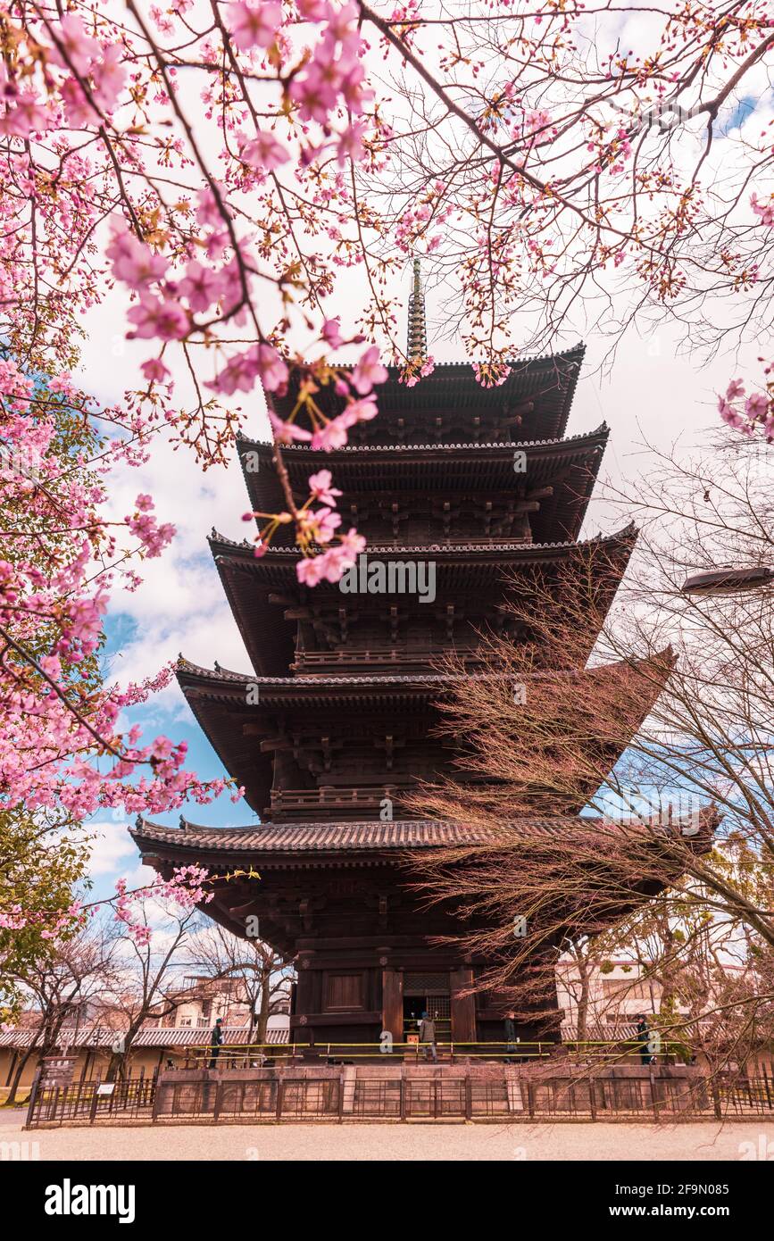 Nara Japan at sunset of Kofukuji Temple Stock Photo - Alamy
