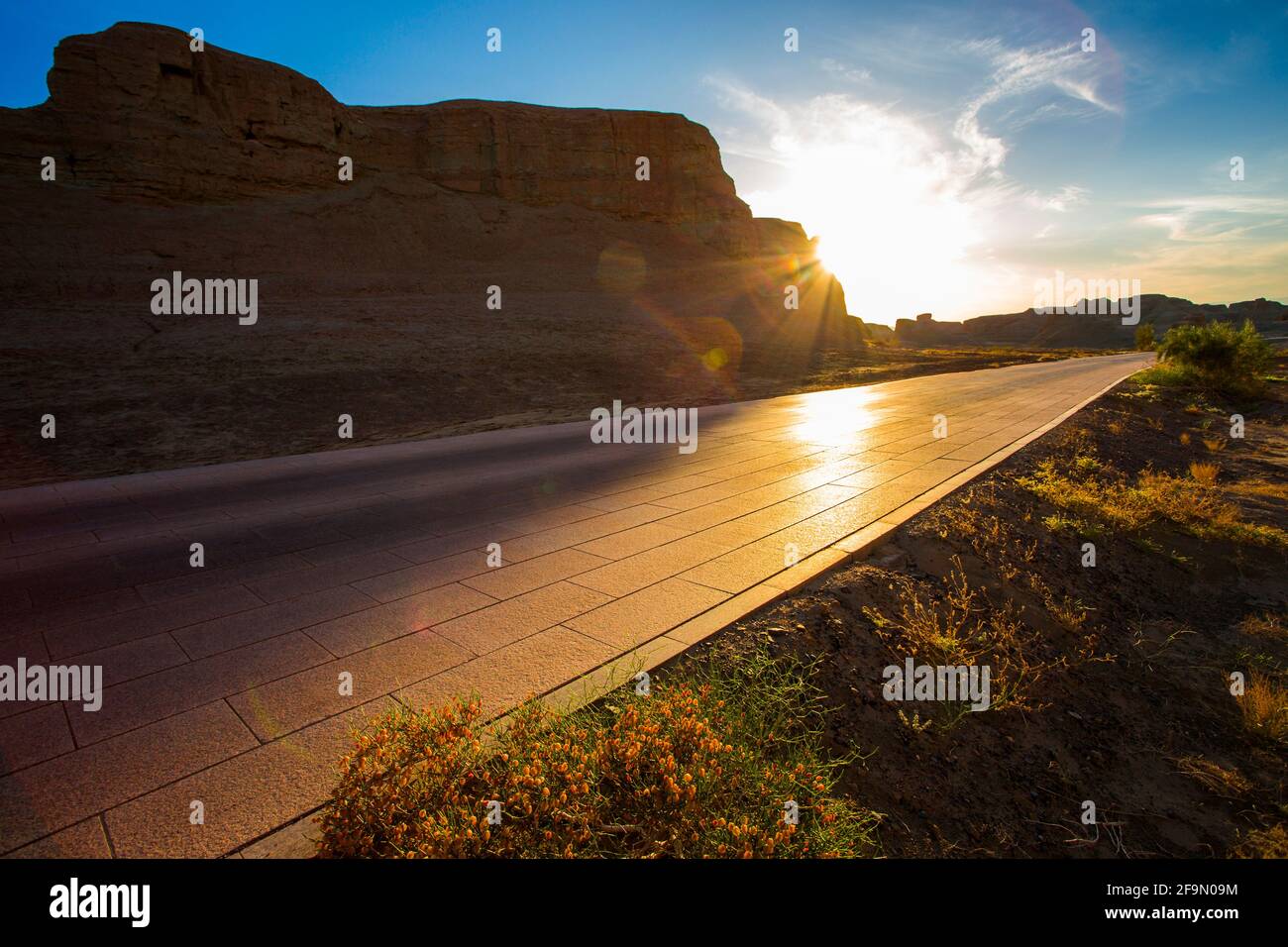 Road in desert Stock Photo - Alamy