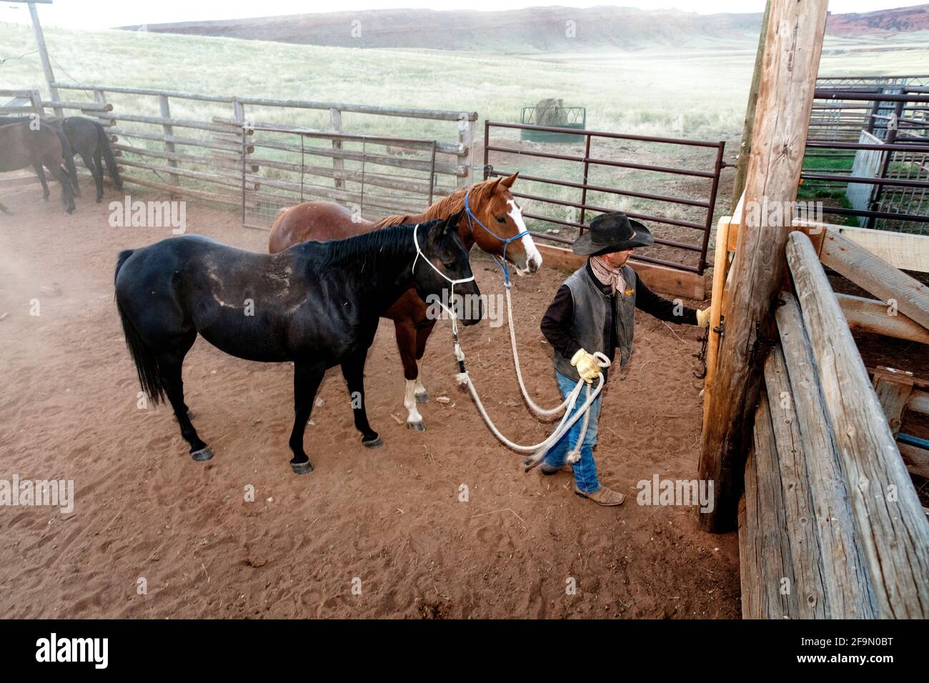 Cowboy corral hi-res stock photography and images - Alamy
