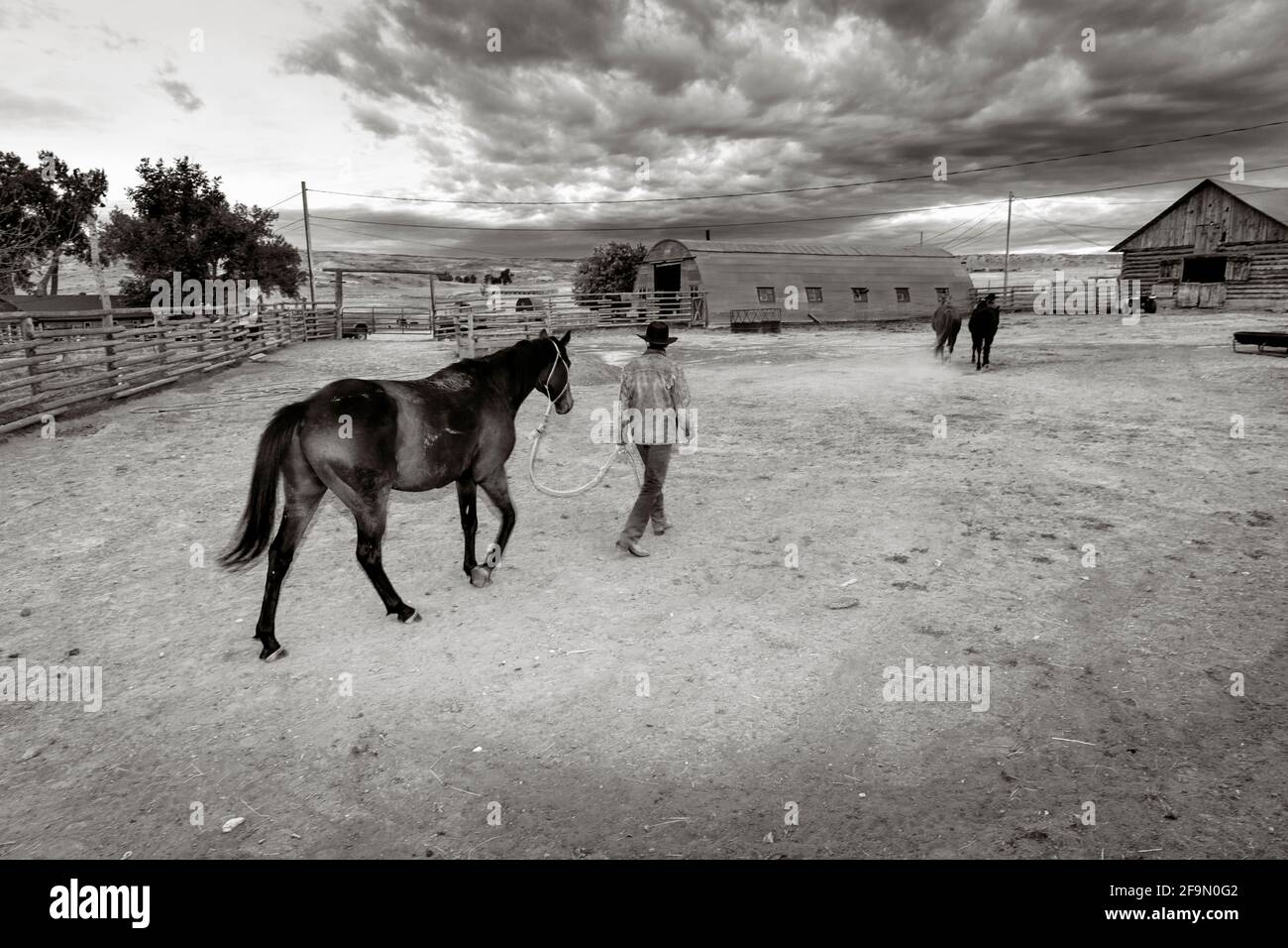 WY04141-00-BW....WYOMING - Ord Buckingham and Barry Cargo lead horses ...