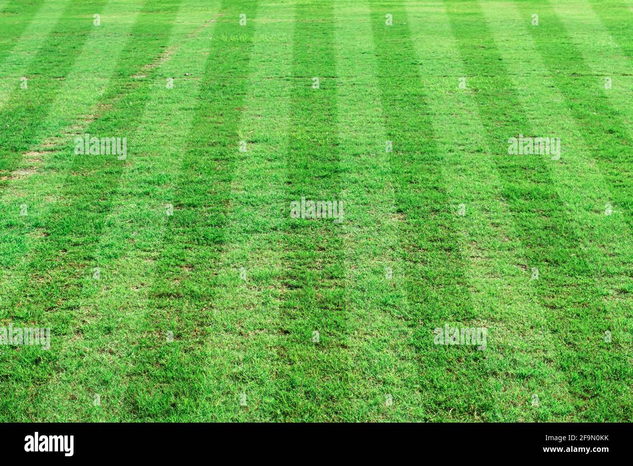 Stripe grass soccer field. Sport lawn background Stock Photo - Alamy