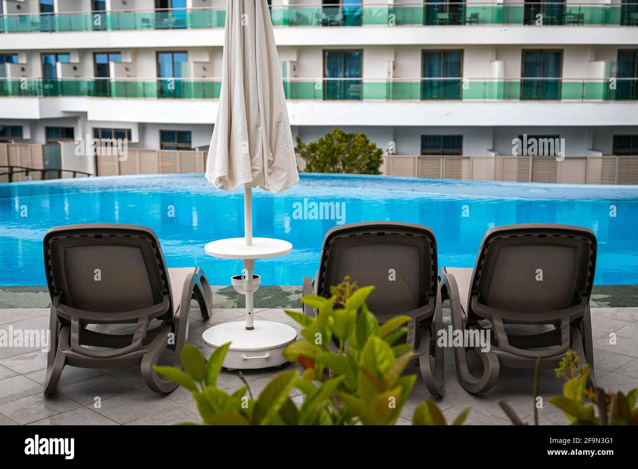 Swimming pool backdrop palm tree hi-res stock photography and images ...