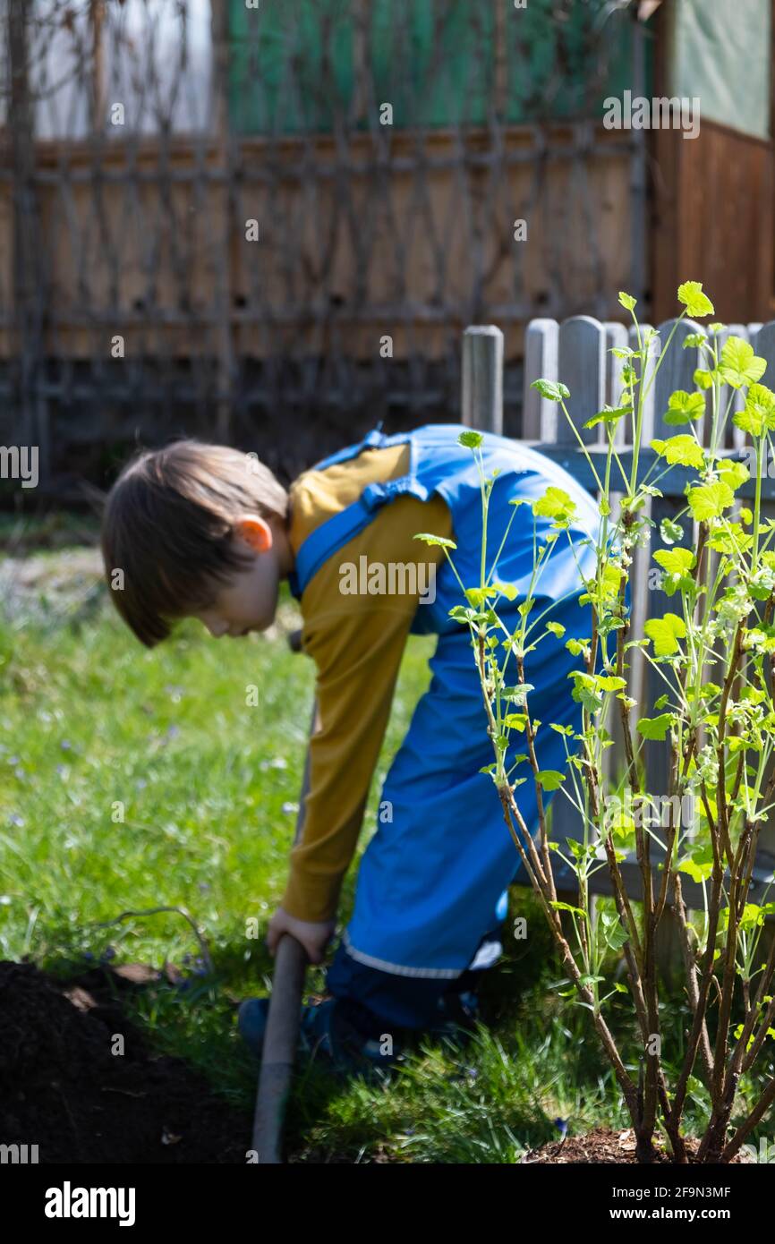 Boy planting tree hi-res stock photography and images - Alamy