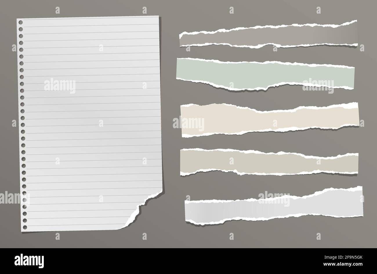 Torn of white and colorful notebook paper pieces are on dark grey ...
