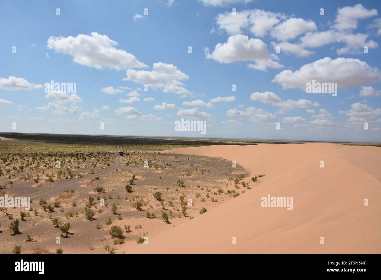 Camel walking across road hi-res stock photography and images - Alamy