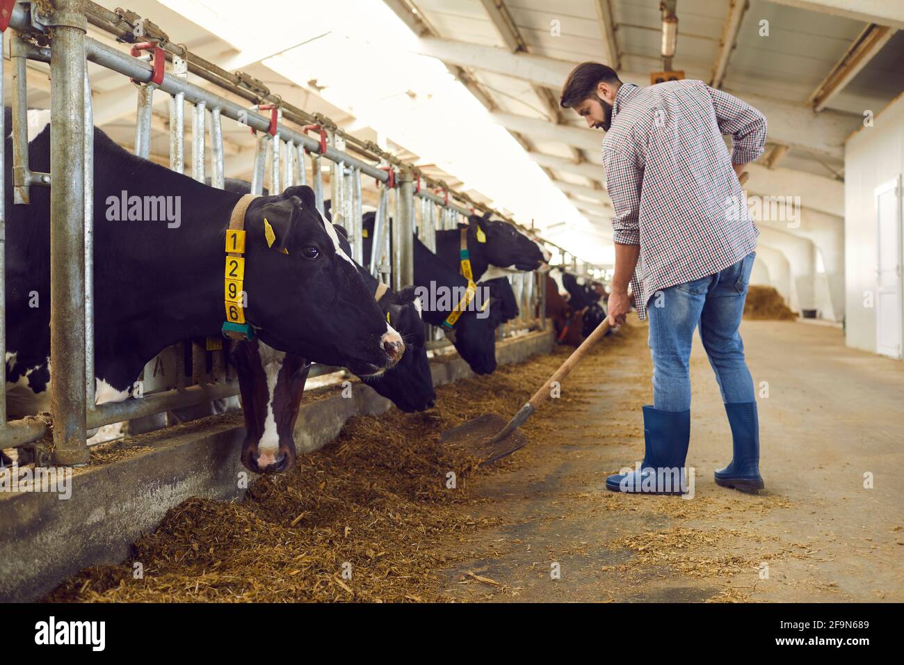 Animal feed manufacturing hi-res stock photography and images - Alamy