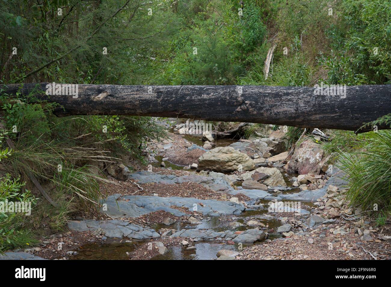 Most of Kinglake National Park was burnt in the Black Saturday fires of ...