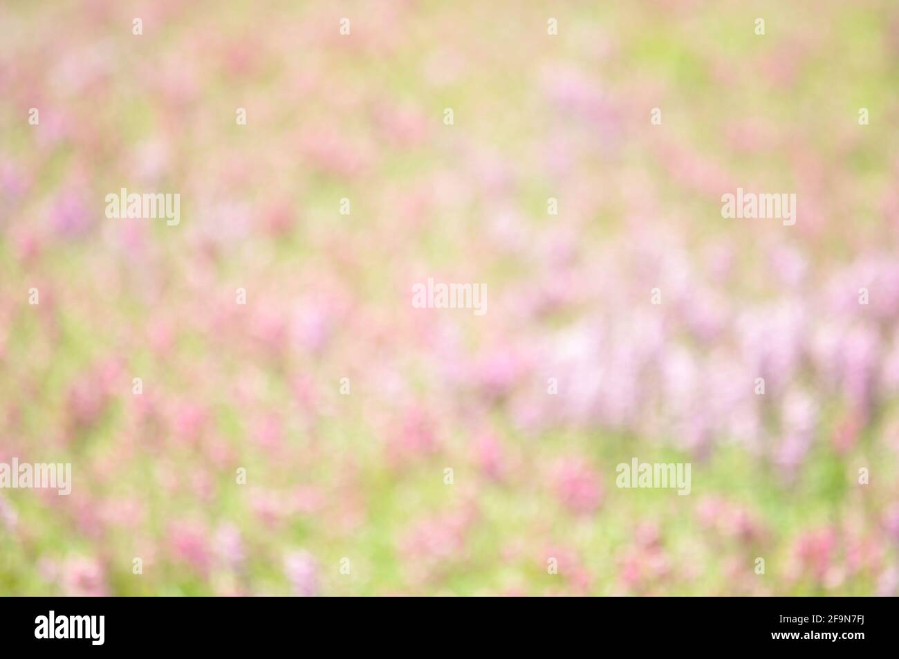 Blur color background hi-res stock photography and images - Alamy