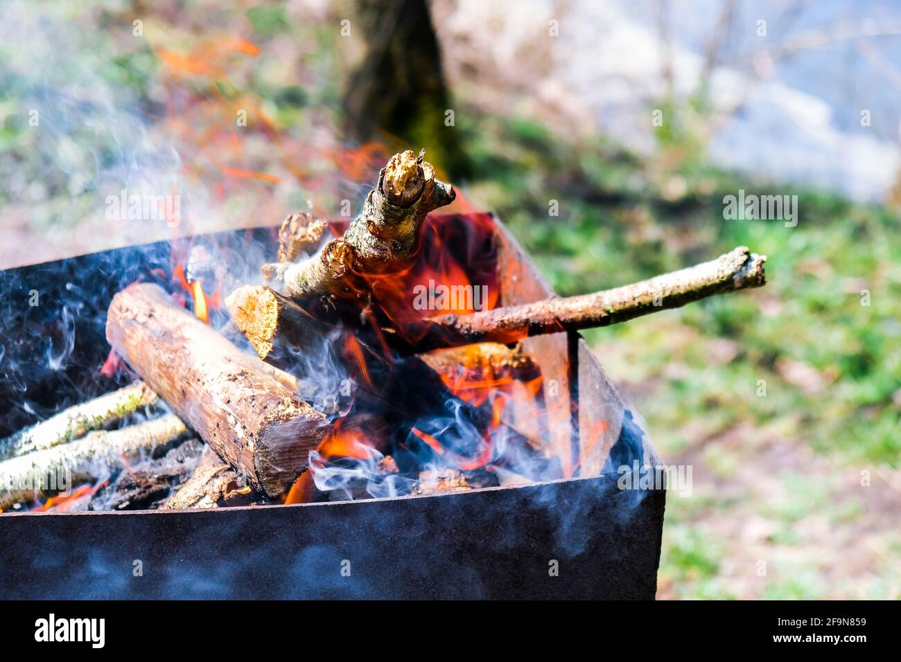 Firewood burning on a brazier. BBQ on the garden. Smoky bonfire. Fire ...