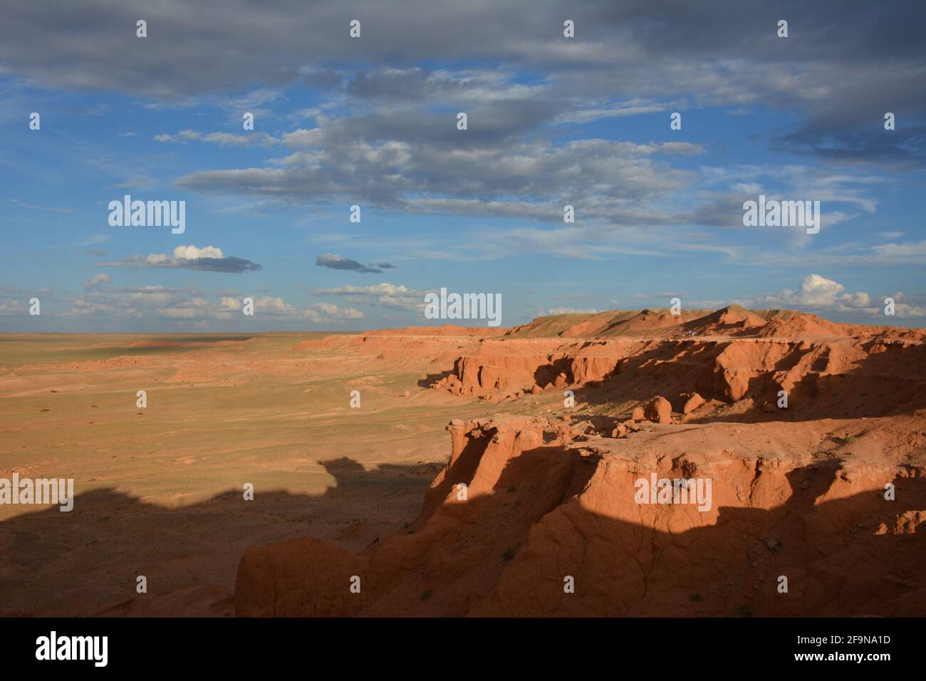 Fossils dinosaur gobi desert hi-res stock photography and images - Alamy