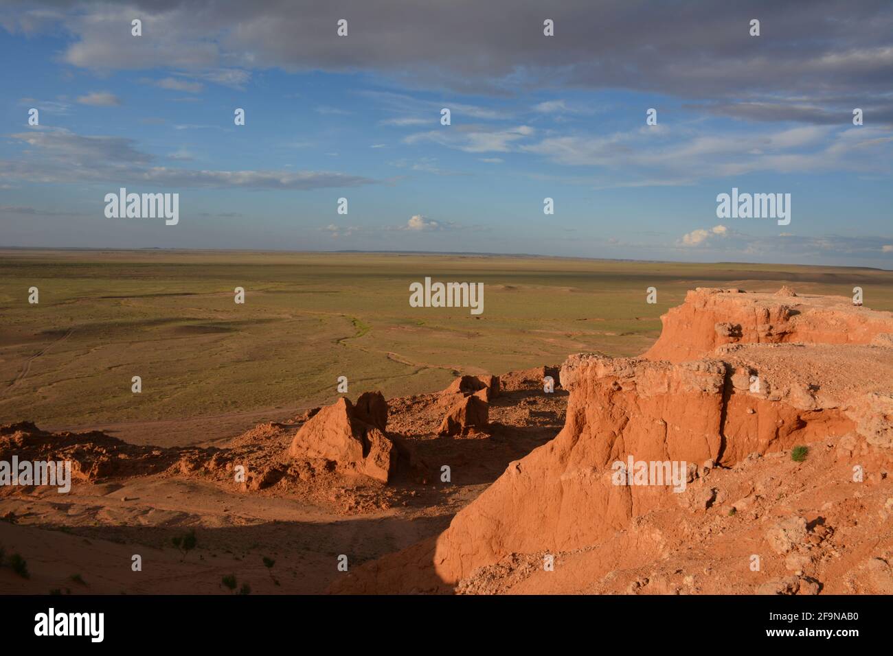 Fossils dinosaur gobi desert hi-res stock photography and images - Alamy