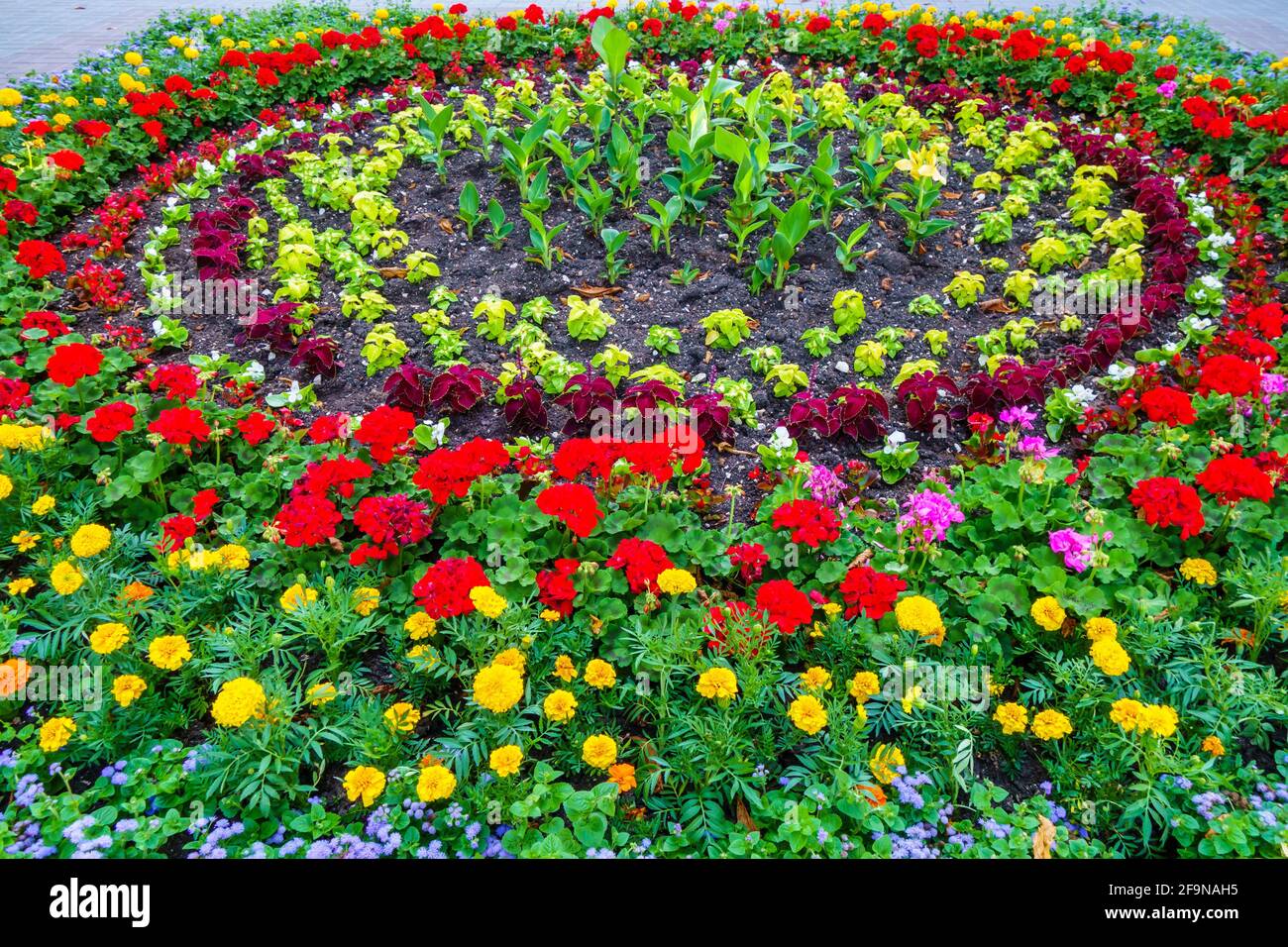Round Flower Bed High Resolution Stock Photography and Images - Alamy