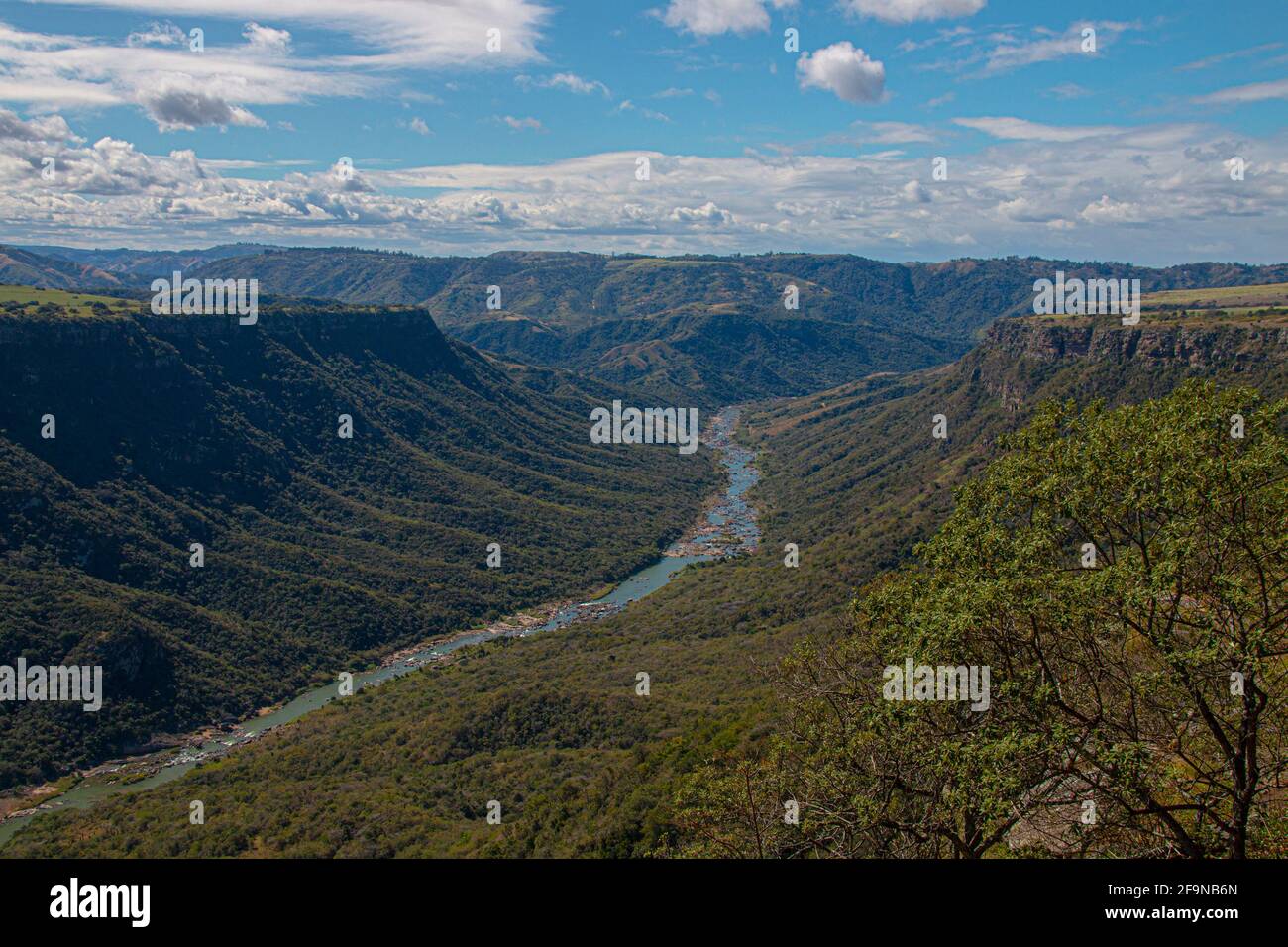 Steep tree lined slope hi-res stock photography and images - Alamy
