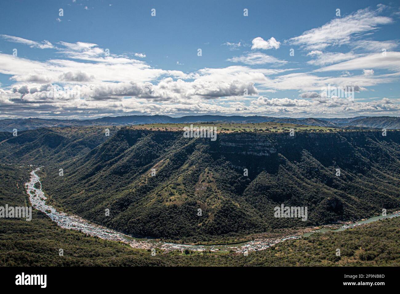 Steep tree lined slope hi-res stock photography and images - Alamy