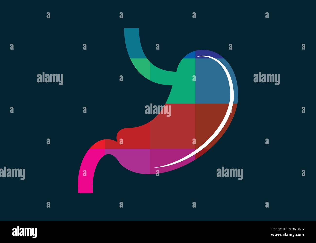 Stomach Care Logo Design Template Vector, Creative Symbol, Icon Stock ...