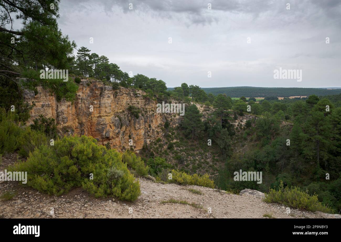 Karstic landscape in the Natural Monument of Cañada del Hoyo Lagoons ...