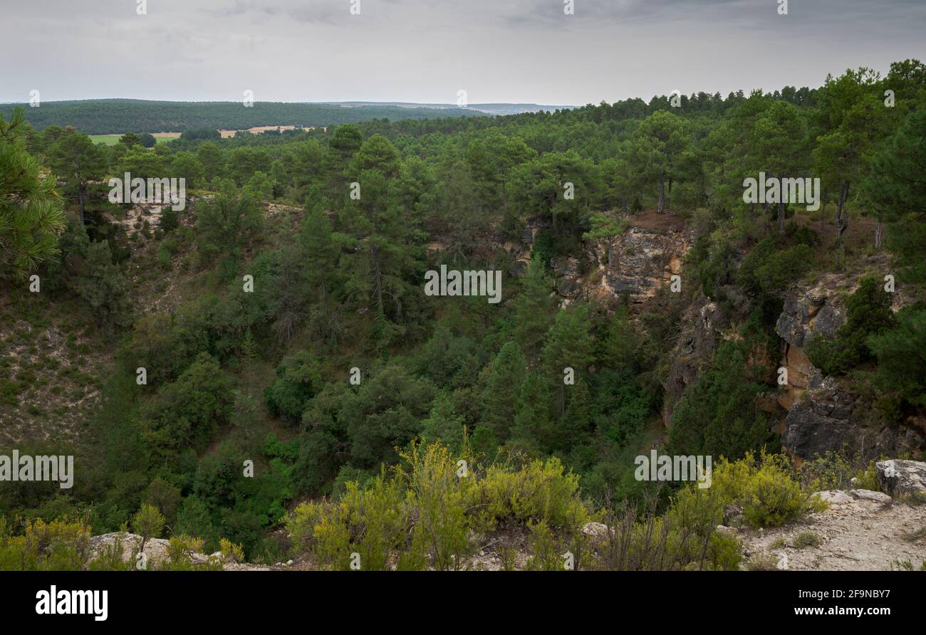 Karstic landscape in the Natural Monument of Cañada del Hoyo Lagoons ...