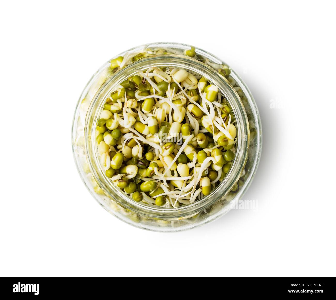 Sprouted green mung beans. Mung sprouts in jar isolated on white ...