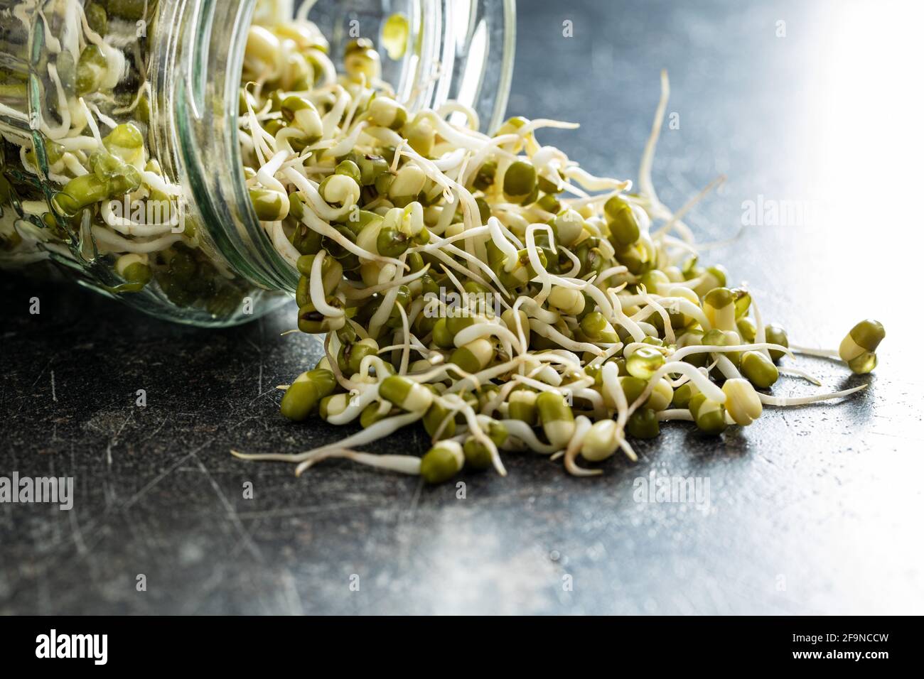 Bean sprout root hi-res stock photography and images - Alamy