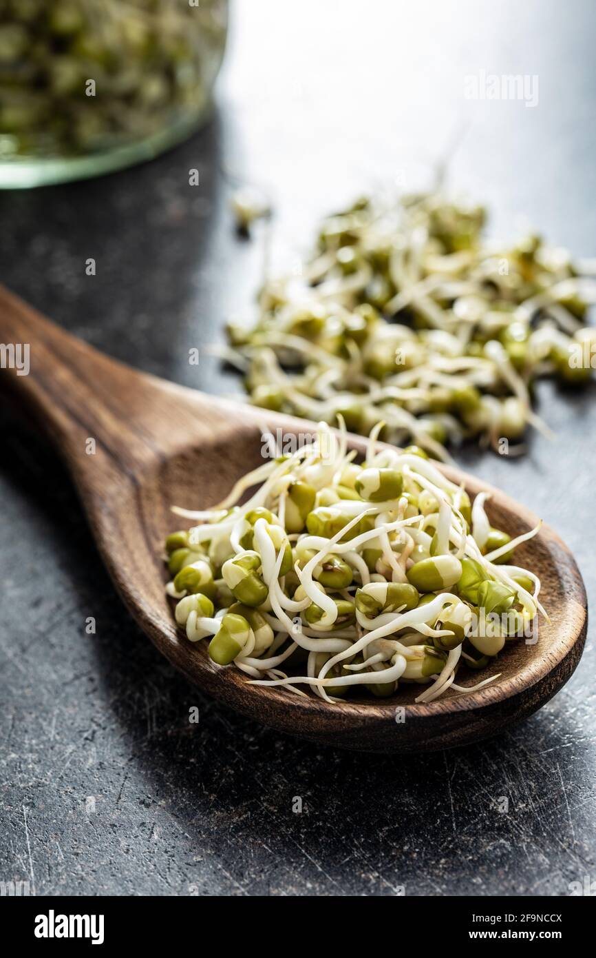Bean sprout root hi-res stock photography and images - Alamy