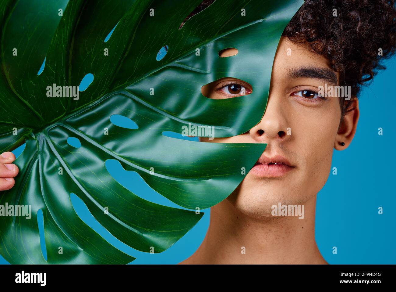 handsome man green leaf face closeup blue background Stock Photo - Alamy