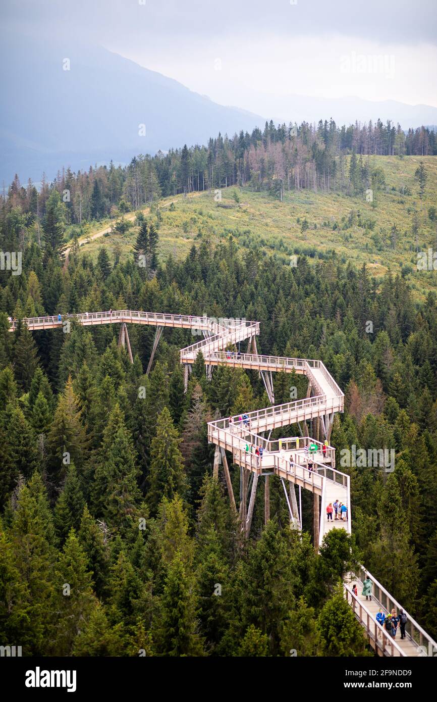 A walking bridge among the trees in the mountains Stock Photo - Alamy