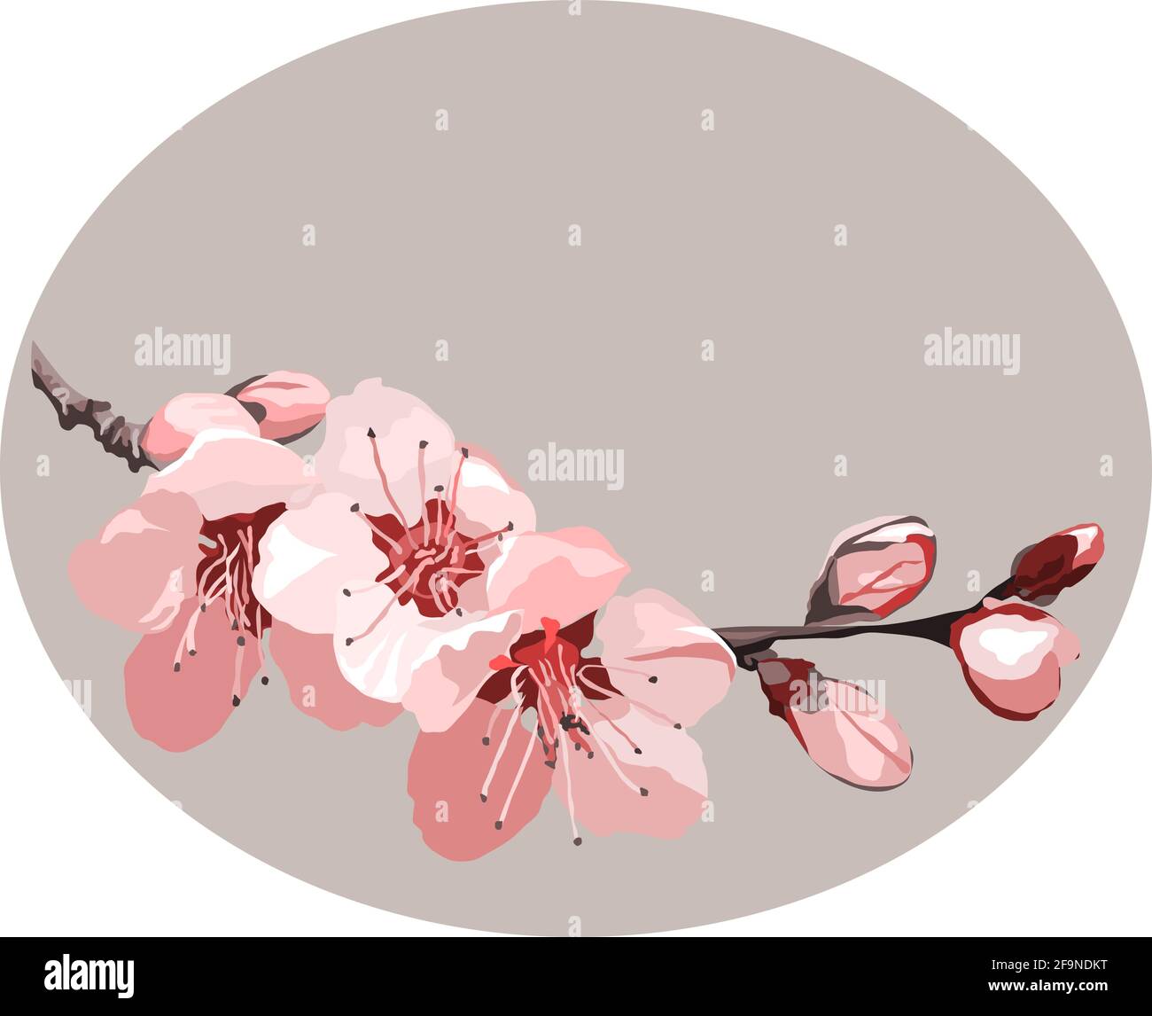 Blossom pink sakura cherry Stock Vector Images - Alamy