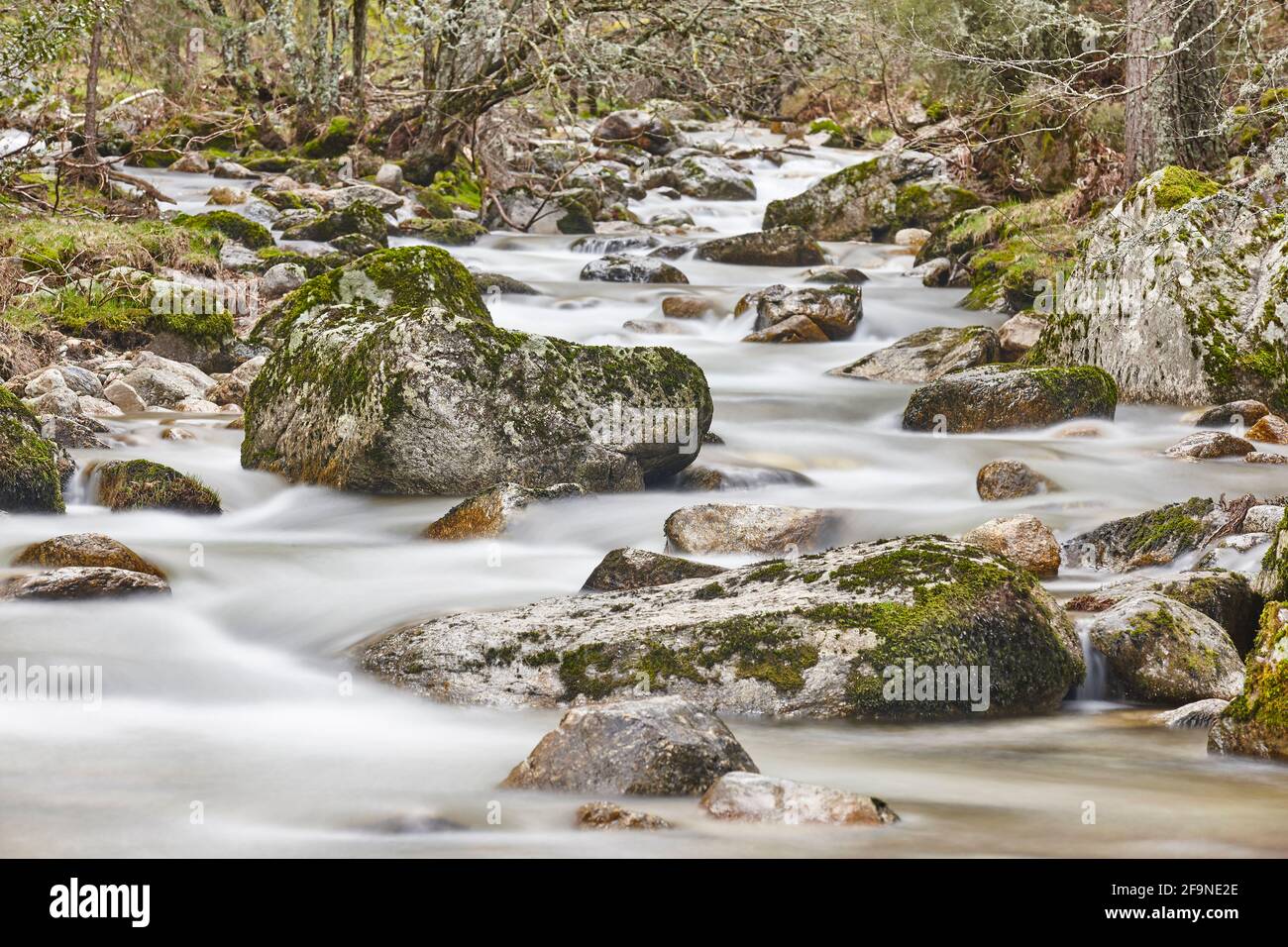 Forest and creek with silk effect. Lozoya river in Madrid. Spain Stock ...